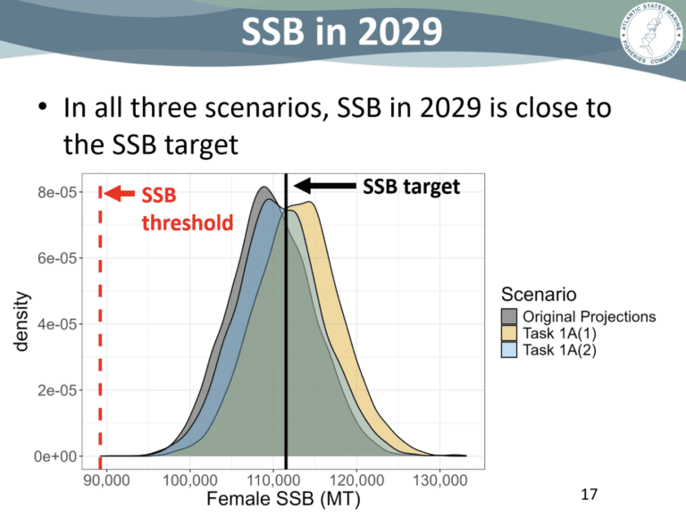 Status Quo Striped Bass For 2025, Changes Loom For 2026 - LBI NJ ...